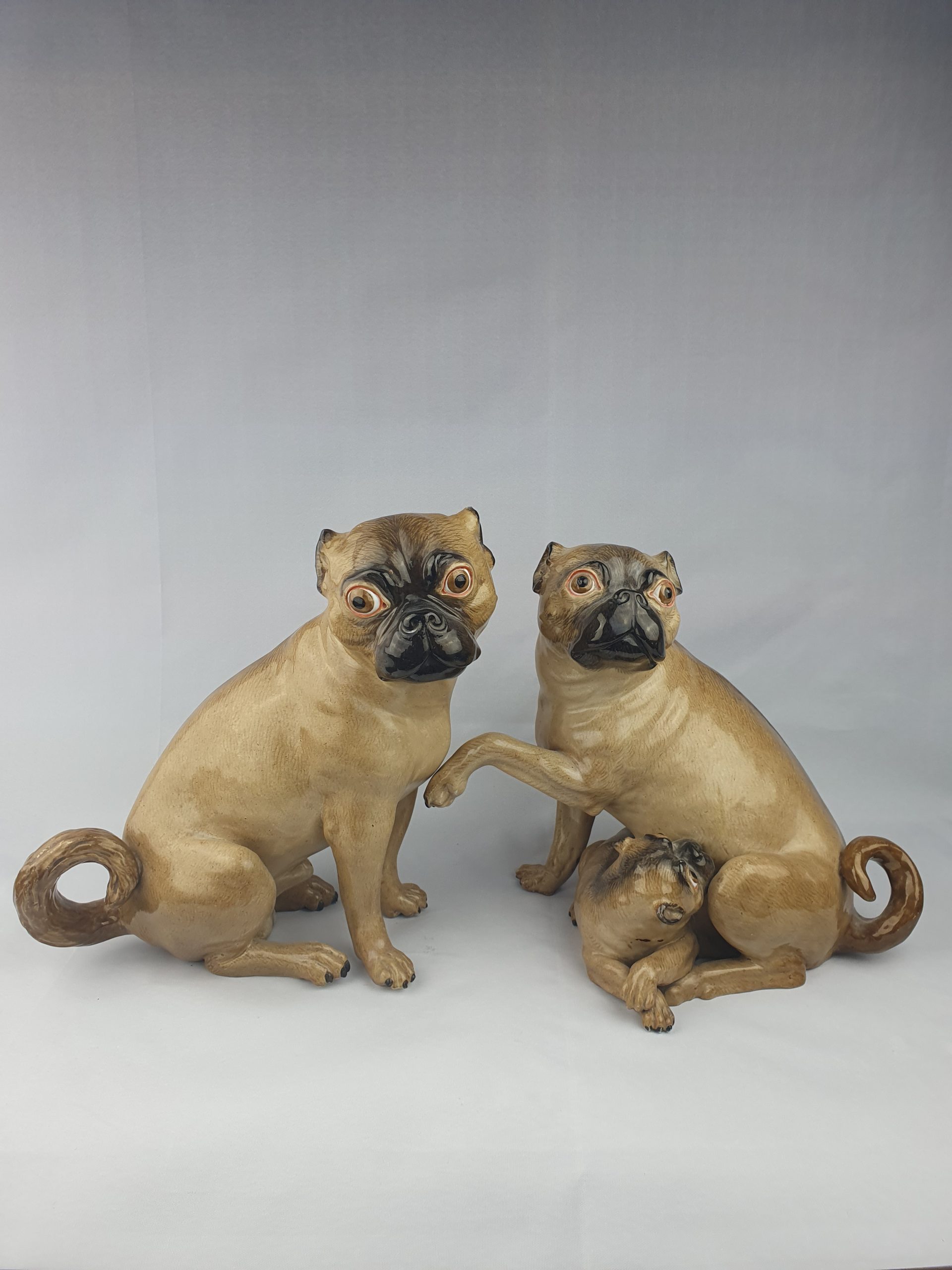 Pair of Large Pugs - Meissen Showroom
